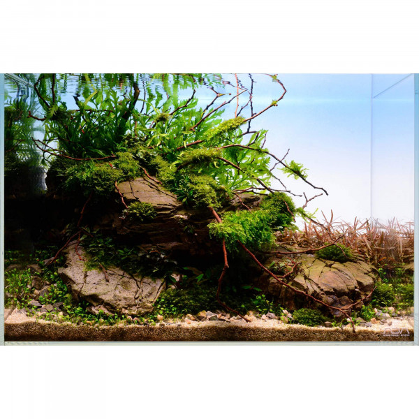 Frodo Stone - Ancient Stone | Aquarium Hardscape kaufen | Garnelen-Guemmer