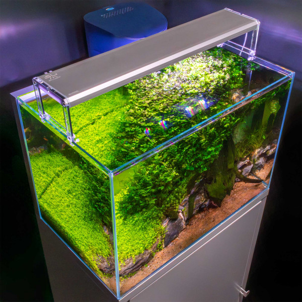 Skylight ENTRIQ Wasserdichte Aquarium LED | Garnelen-Guemmer