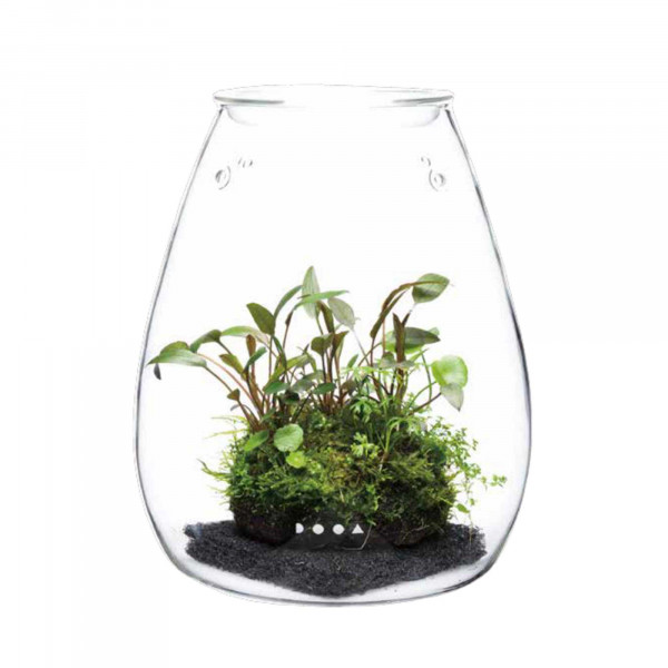 DOOA Glass Pot SHIZUKU | Gläser & Terrarien | Wabi-Terra Welt | Garnelen-Guemmer