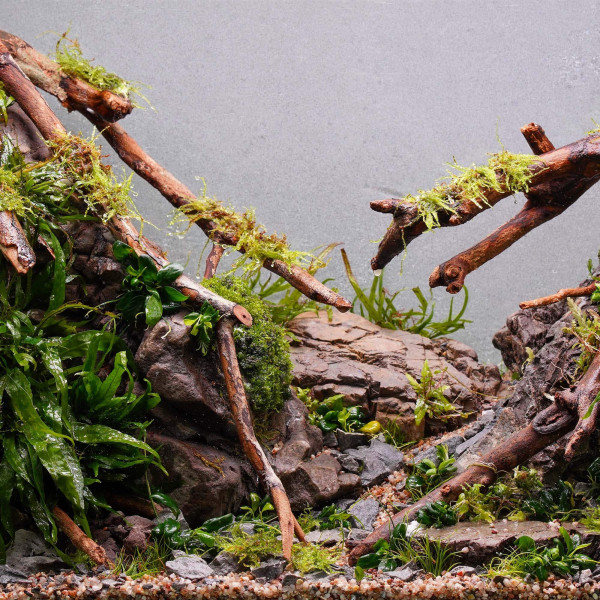 Frodo Stone - Ancient Stone | Aquarium Hardscape kaufen | Garnelen-Guemmer