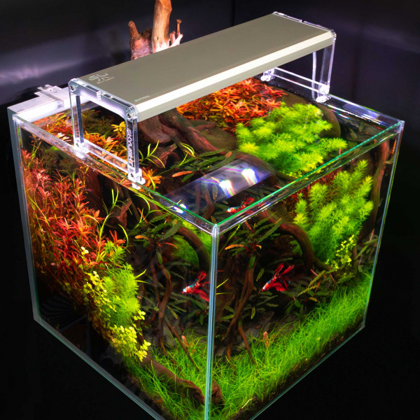 Skylight ENTRIQ Wasserdichte Aquarium LED | Garnelen-Guemmer