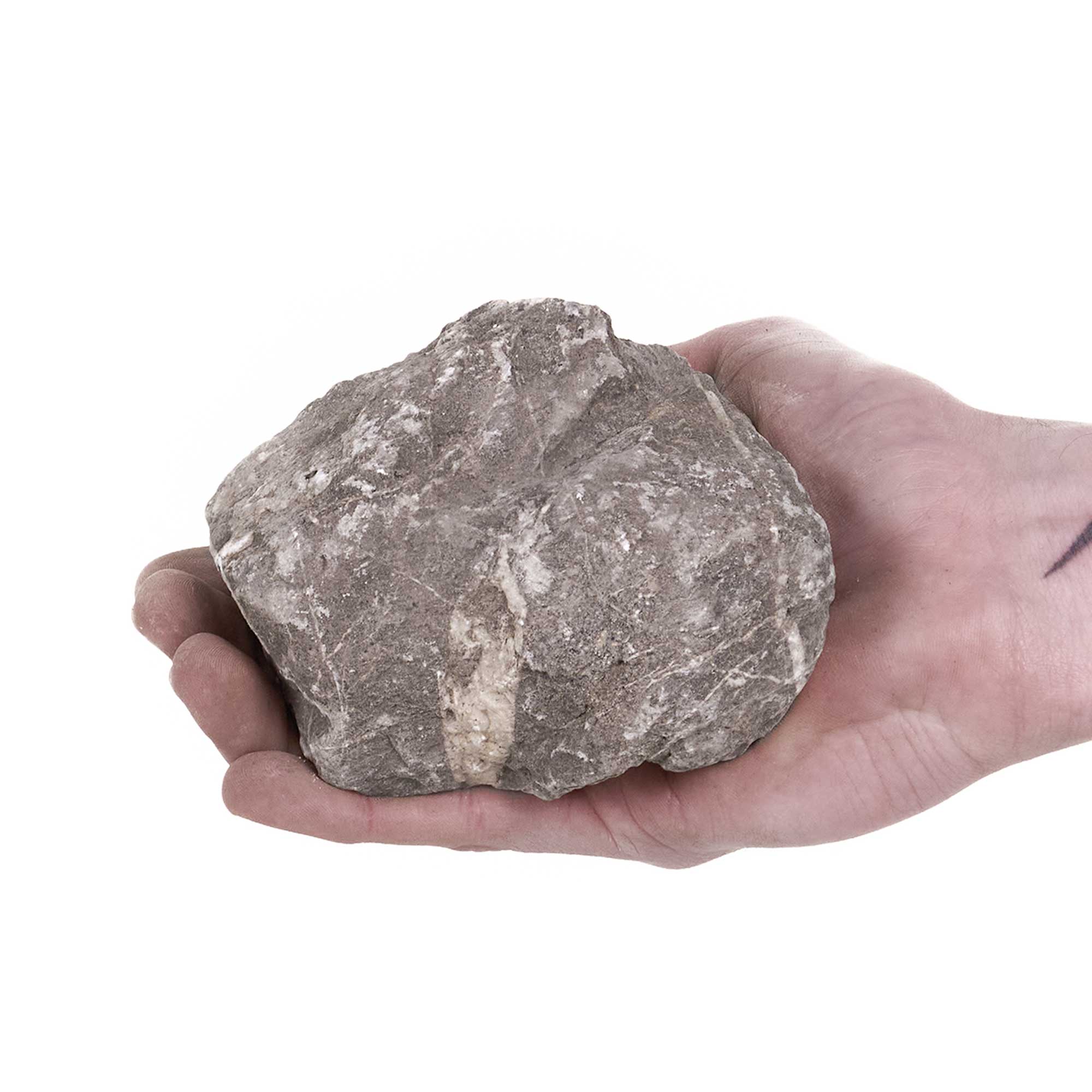 Frodo Stone - Ancient Stone | Aquarium Hardscape kaufen | Garnelen-Guemmer