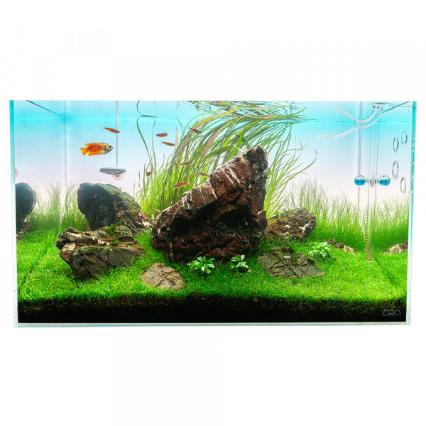 Frodo Stone - Ancient Stone | Aquarium Hardscape kaufen | Garnelen-Guemmer