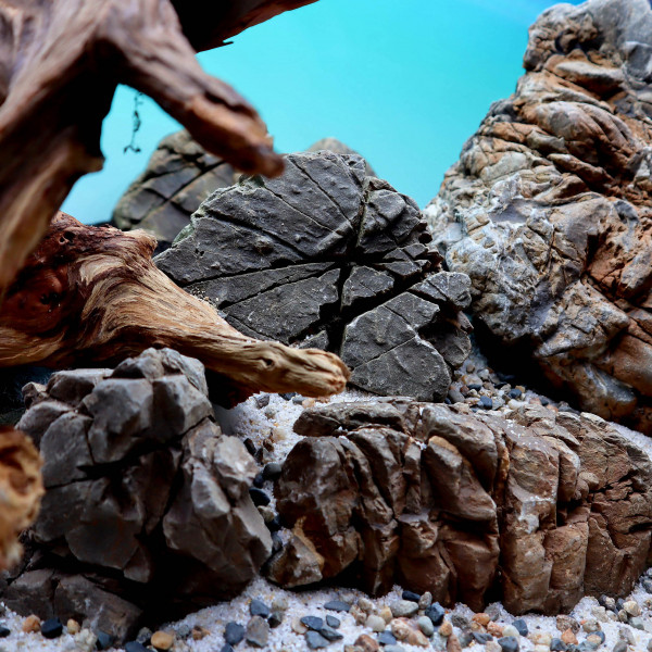 Frodo Stone - Ancient Stone | Aquarium Hardscape kaufen | Garnelen-Guemmer